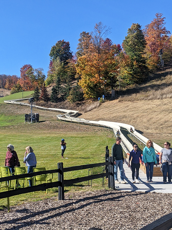 Families and thrill-seekers gather at the base, their faces showing that perfect mix of excitement and "what did I just sign up for?" anticipation.