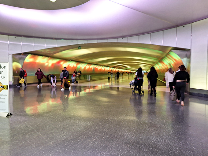 Fellow travelers become silhouettes against the vibrant light show, everyone momentarily united in this unexpected airport oasis between destinations.