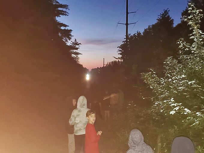 Anticipation builds as visitors gather at dusk, their silhouettes merging with the darkening forest while awaiting nature's light show.