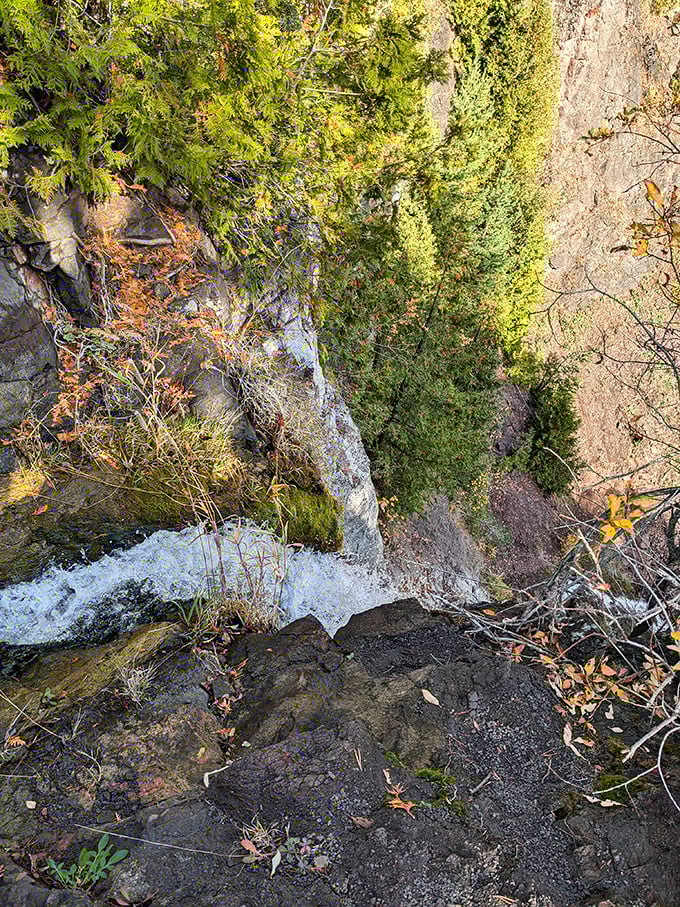 The falls peek through the greenery like they're playing hide-and-seek with hikers. That first glimpse through the trees makes every muddy step worthwhile.