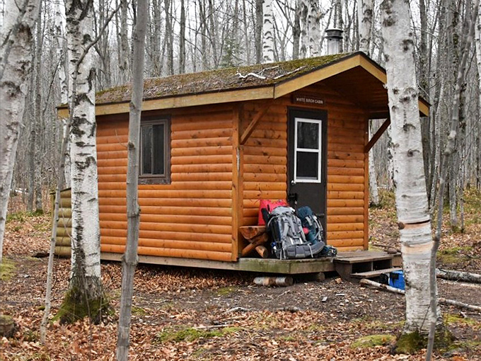 This cozy cabin among white birches offers wilderness luxury – no room service, but the stargazing comes complimentary with your stay.