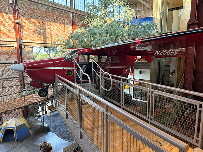 A bright red Cessna aircraft hangs suspended, ready for would-be pilots to climb aboard and experience conservation from above&mdash;no pilot's license required!