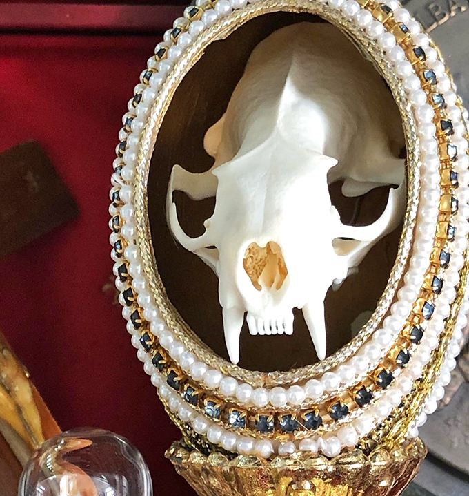 A cat skull gets the royal treatment, framed in pearls and gold &ndash; death has never looked so oddly elegant.