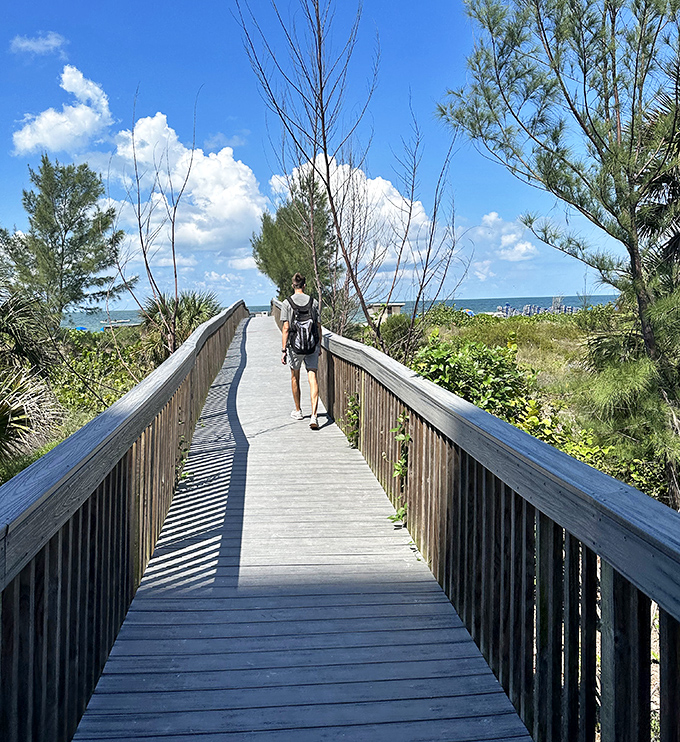 This wooden boardwalk beckons adventurers toward the shore, a pathway between civilization and untamed coastal beauty.