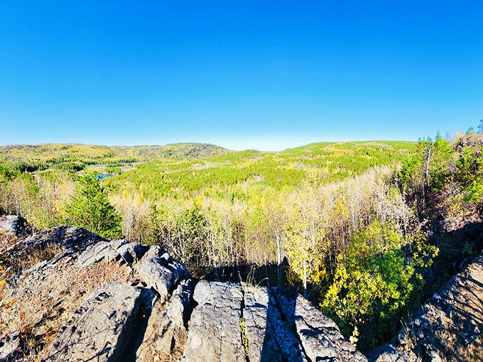 Sunlight dances through the canopy, casting dappled shadows on this imposing monolith. The perfect Minnesota day transforms ordinary rock into something magical.