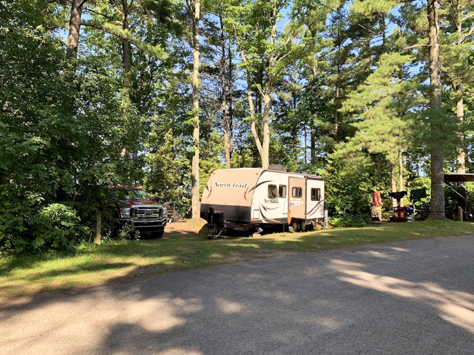 Camping with a view – where your morning coffee comes with a side of birdsong and your evening wine pairs perfectly with sunset.