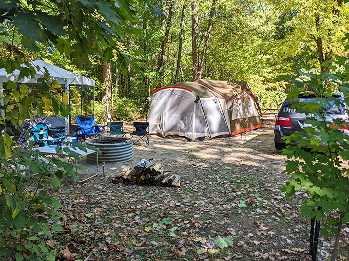 Camping nirvana under Michigan's canopy &ndash; where marshmallows toast perfectly and stars shine like nowhere else.