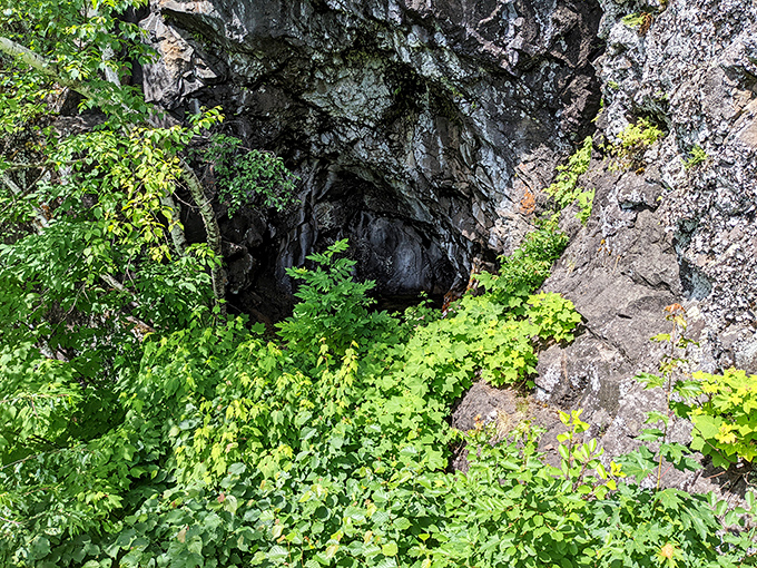 Mother Nature's doorway beckons the curious &ndash; lush greenery contrasts with the dark mystery of the mine entrance.