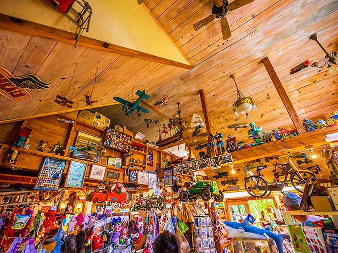 Look up! The wooden ceiling serves as parking lot and runway for an impressive collection of vintage vehicles and aircraft suspended in eternal play.