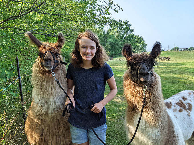 Eye-to-eye with South American royalty. These close encounters create magical moments that children remember long after the visit ends.