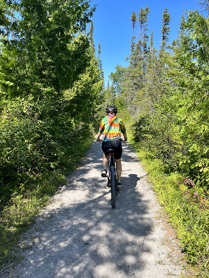 Two-wheeled wilderness exploration: Cycling through sun-dappled forest corridors offers a perfect blend of exercise and natural immersion.