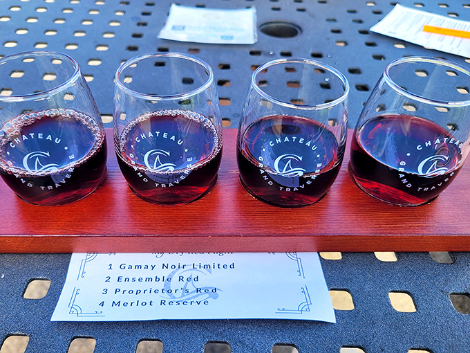 Four glasses of rich red wine await tasting, each promising different notes from cherry and pepper to chocolate and plum.