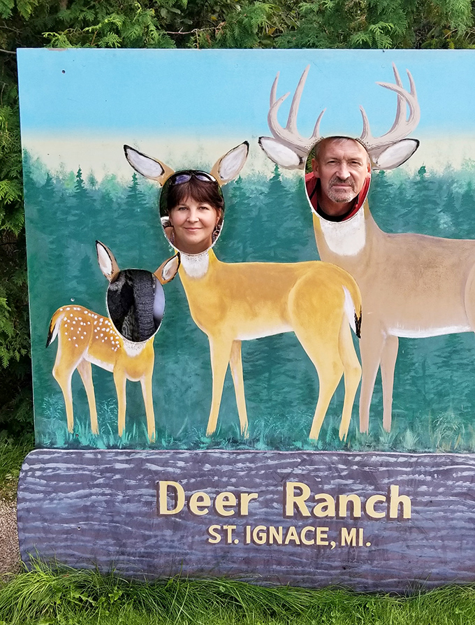 Family fun at its finest &ndash; become part of the herd with this whimsical photo opportunity that's impossible to resist.