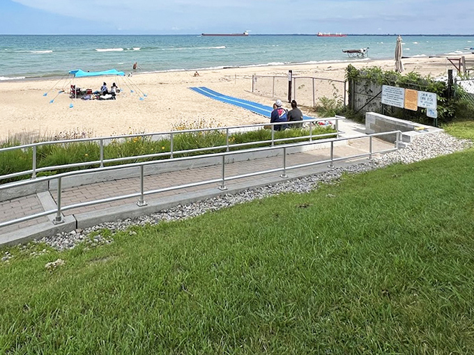 Nature's front lawn meets the beach, offering grassy respite for those who prefer to admire the water from a comfortable distance.