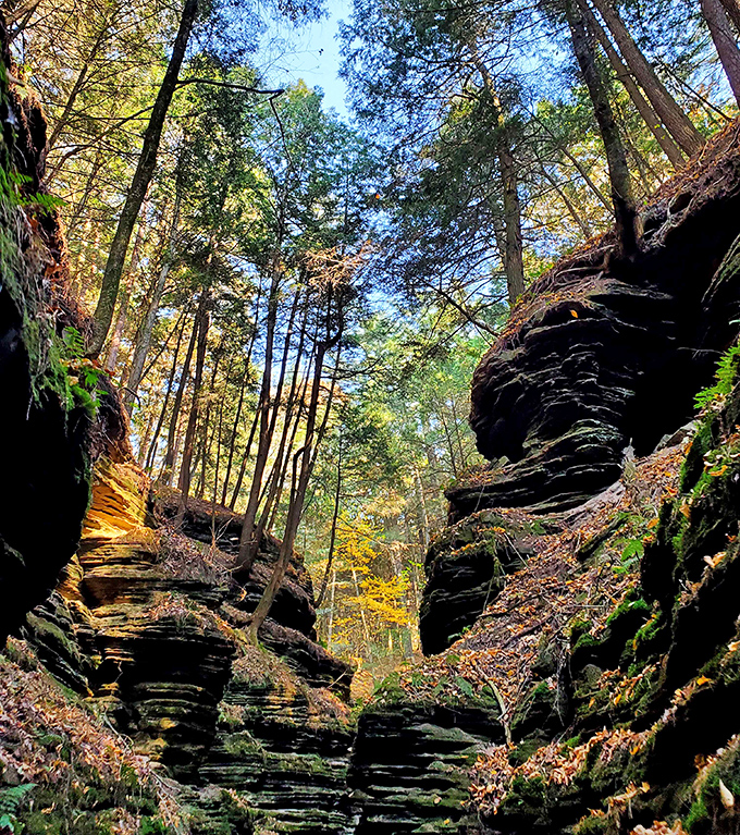 Nature's green velvet drapes these ancient walls, where moisture-loving moss transforms stone into living tapestry. The perfect backdrop for whispered secrets and quiet contemplation.