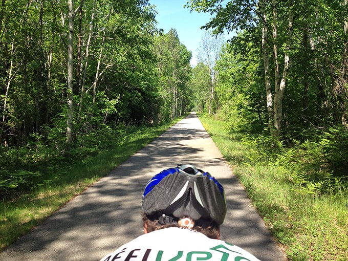 Cycling through nature's cathedral, where trees form perfect arches and the only stained glass is filtered sunlight through leaves.