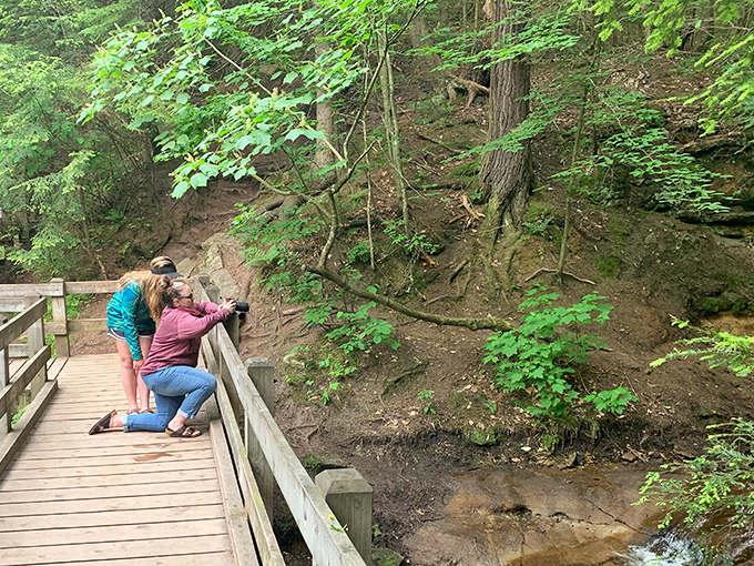 Photography enthusiasts find endless inspiration here, where light filters through the canopy to illuminate the falls' gentle cascade.