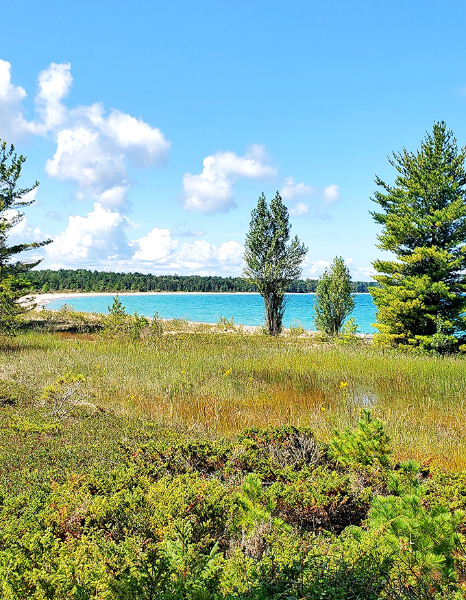 Seagull Point Park delivers solitude and serenity with its untouched shoreline and crystal-clear waters perfect for peaceful swimming.