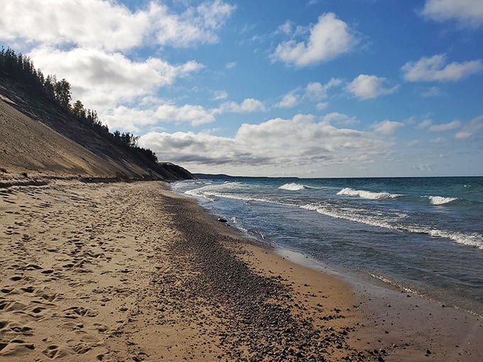 Lake Superior's shoreline stretches like nature's infinity pool, where forest meets freshwater in perfect harmony.