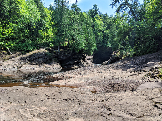 Nature's perfect frame: Emerald forest surrounds the falls, creating a living portrait that changes with every season.