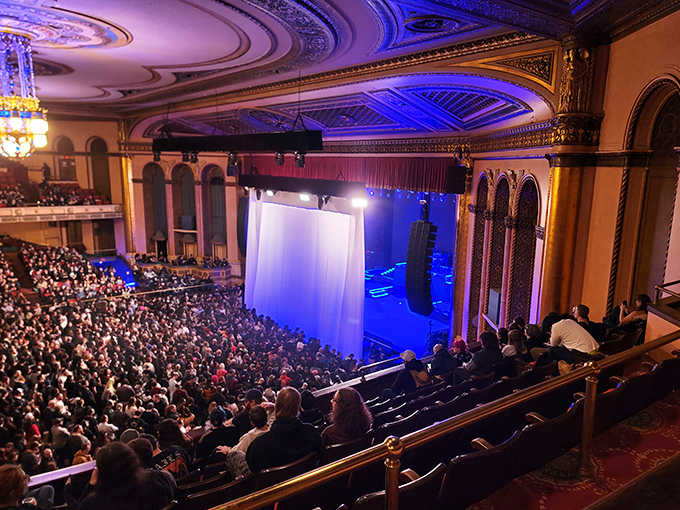 When the lights dim and the curtain rises, this magnificent stage transforms from architectural marvel to cultural heartbeat of Detroit.