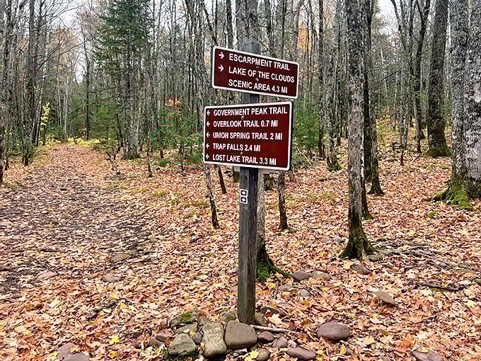 Trail signs point the way like friendly locals giving directions &ndash; "This way to views that'll make your Instagram followers weep with envy!"