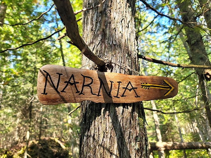 "This way to talking beavers and eternal winter!" The trail's whimsical signage sets the perfect tone for magical woodland adventures.