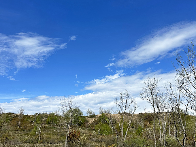Beneath an impossibly blue Michigan sky, the dunes stretch toward the horizon like waves frozen in golden time.