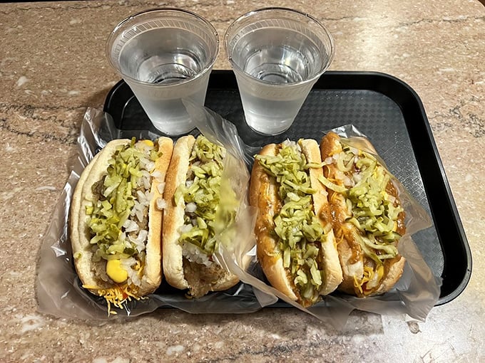 Even without meat, the Veggie option proves Yesterdog's toppings are stars in their own right &ndash; a symphony of textures and flavors for non-meat eaters.