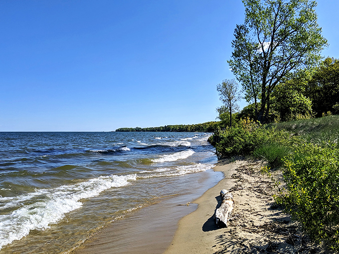 Where forest meets water: Port Crescent's shoreline showcases Michigan's natural diversity with lush greenery framing crystal blue waters.