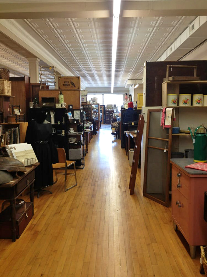 Long, inviting aisles stretch before you like pathways through time, the warm wooden floors creaking slightly with each step of your journey.