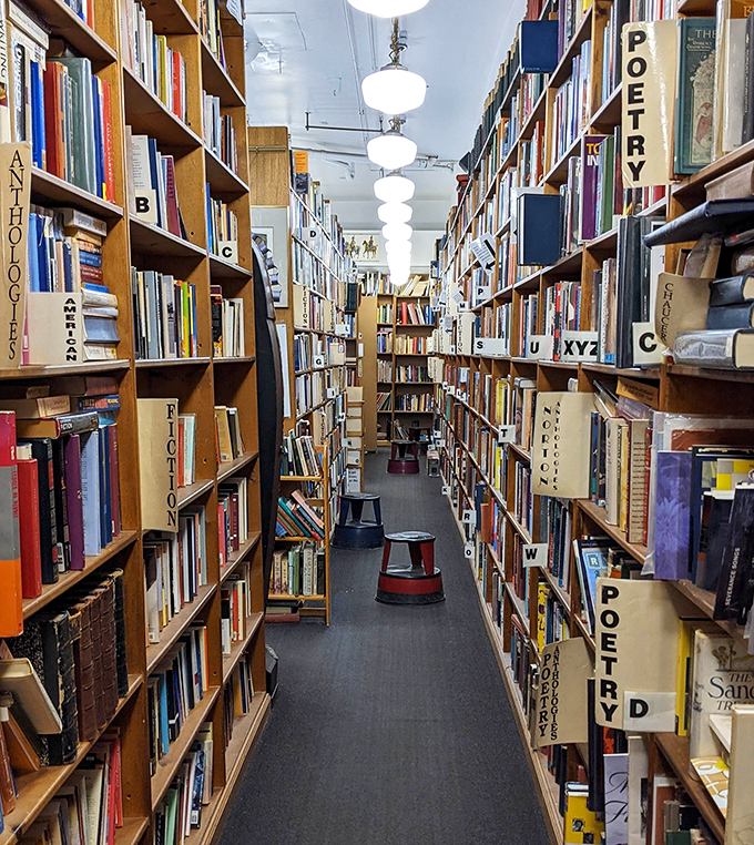 Alphabetical markers guide literary explorers through this paper jungle, where each turn promises new discoveries and unexpected delights.