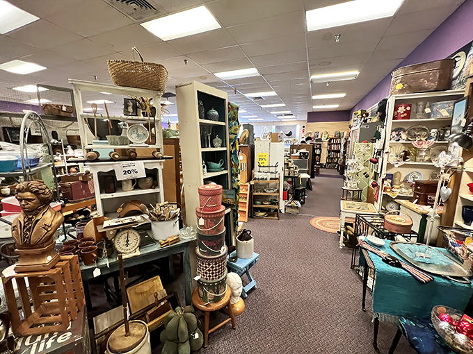 Navigate these pathways of possibility where mid-century modern meets Victorian elegance, and every shelf holds potential discoveries.