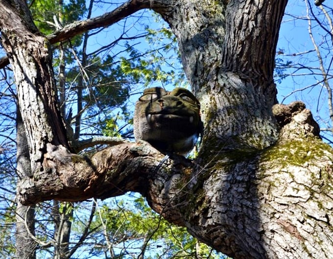 This mischievous face peers from its tree perch, a woodland spirit caught mid-laugh by the sculptor's clever hand.