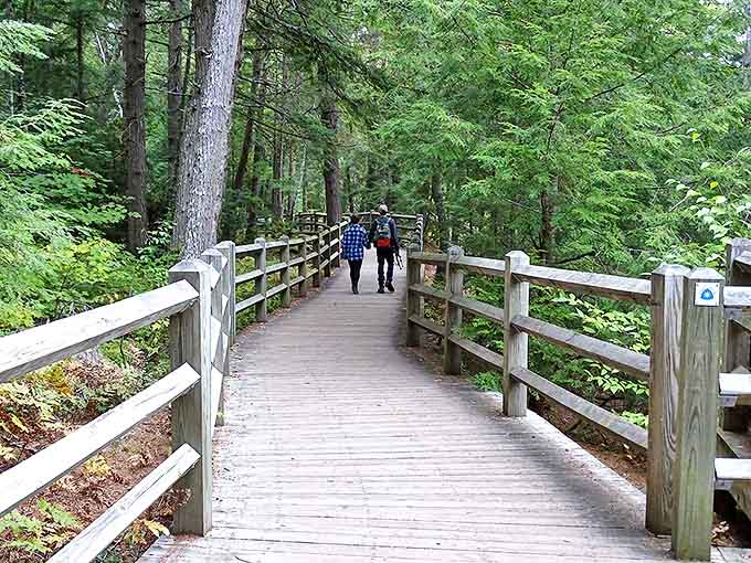 Nature's red carpet leads through cathedral-like forests, each step bringing you closer to the thunderous applause of falling water.