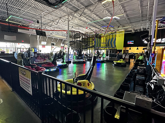 Bumper cars with attitude &ndash; where driving skills are optional and strategic collisions are highly encouraged.