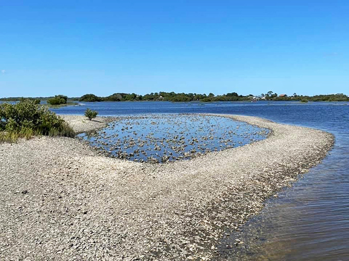 Cedar Key Scrub State Reserve showcases Florida as it was before developers discovered the state &ndash; wild, untamed, and gloriously empty.