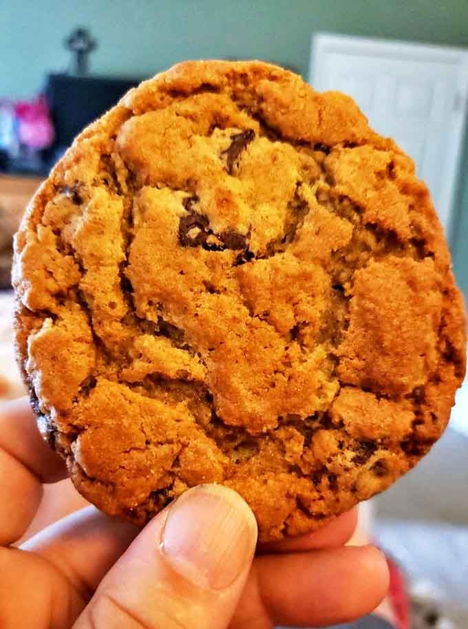 Chocolate chip cookies with the perfect texture trifecta: crisp edges, chewy centers, and chocolate that somehow stays perpetually melty. Cookie nirvana achieved.