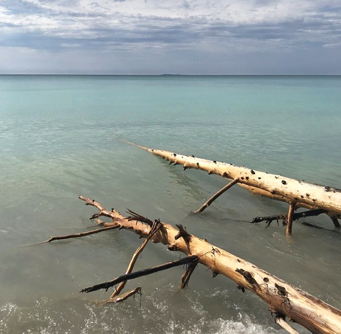 Driftwood sculptures meet crystal waters – nature's art installation creates a perfect foreground for Christmas Cove's aquamarine canvas.