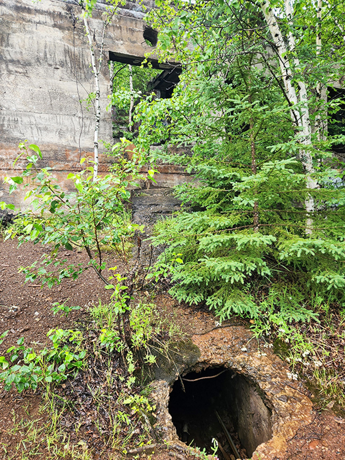 Nature finds a way in, around, and through &ndash; this opening leads to a subterranean network once bustling with workers.