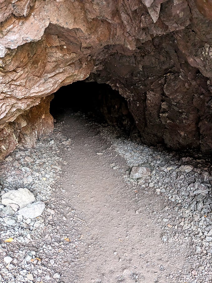 This cave entrance looks like a portal to another world. Half expect to find hobbits inside or at least some very surprised bats enjoying their privacy.