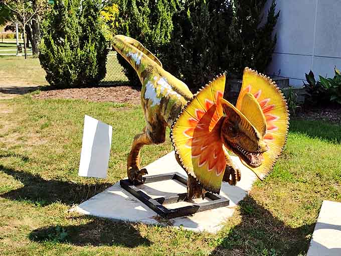 The Dilophosaurus displays its dramatic neck frill, forever frozen mid-roar in a pose that would make Spielberg proud.