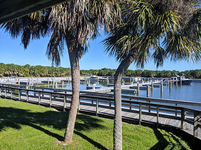 The marina's wooden docks stretch like welcoming arms into calm waters, a perfect launching point for island adventures.