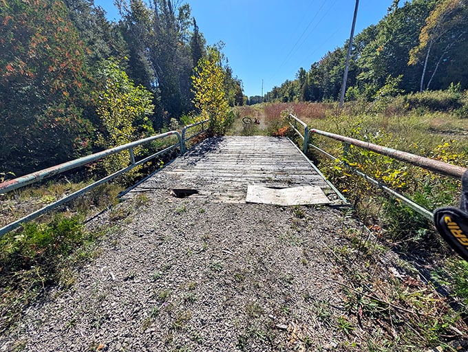 Footbridge: This weathered wooden crossing tells stories of countless footsteps, with gaps that remind you to watch your step while admiring the view.
