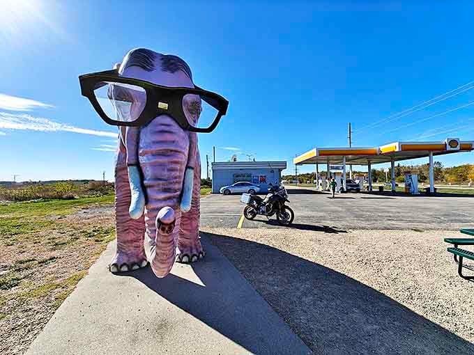 Travelers regularly find themselves dwarfed by this pink pachyderm, creating the perfect "you won't believe what I saw" photo opportunity.