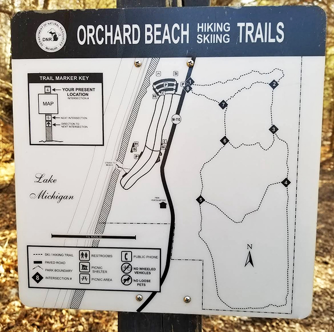 Trail maps can't capture the feeling of discovery as you wander paths where deer and hikers share right-of-way.