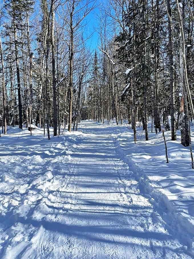 A pristine snow path winds through silent woods, each footstep bringing you closer to Michigan's frozen wonderland.