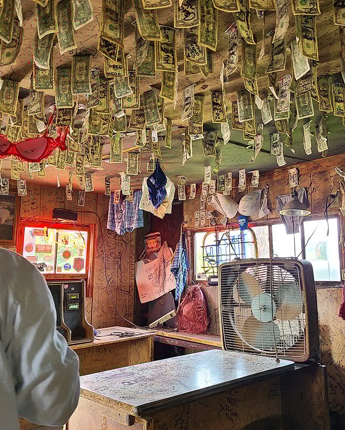 Money, money everywhere! The ceiling's famous dollar collection represents thousands of visitors who've left their mark on this quirky establishment.