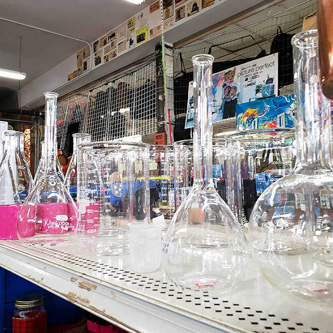 The laboratory glassware section transforms everyday shoppers into mad scientists, with beakers and flasks just waiting to bubble with mysterious concoctions.
