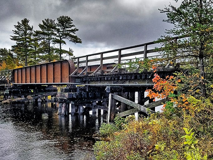 This weathered wooden bridge tells silent stories of adventures past while inviting new explorers to cross its planks.